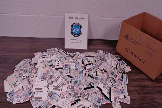 Two shipments containing 4,420 counterfeit driver’s licenses seized by ...