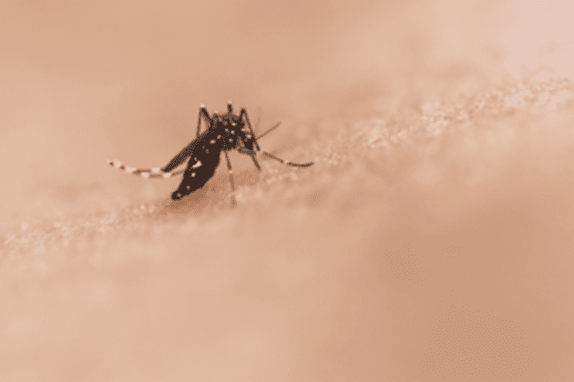 UK: Vimkunya vaccine approved to prevent disease caused by the ...