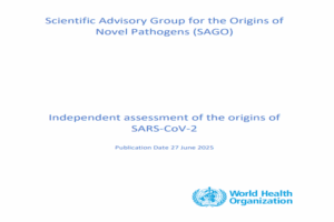 WHO Scientific advisory group issues report on origins of COVID-19 ...