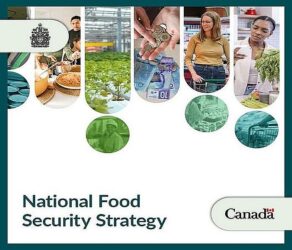 Canada launches National Food Security Strategy - Caribbean News Global