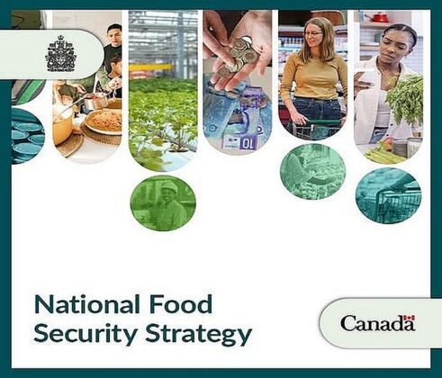Canada launches National Food Security Strategy - Caribbean News Global