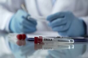 PAHO steps up preparedness across the Americas amid Ebola outbreak in ...